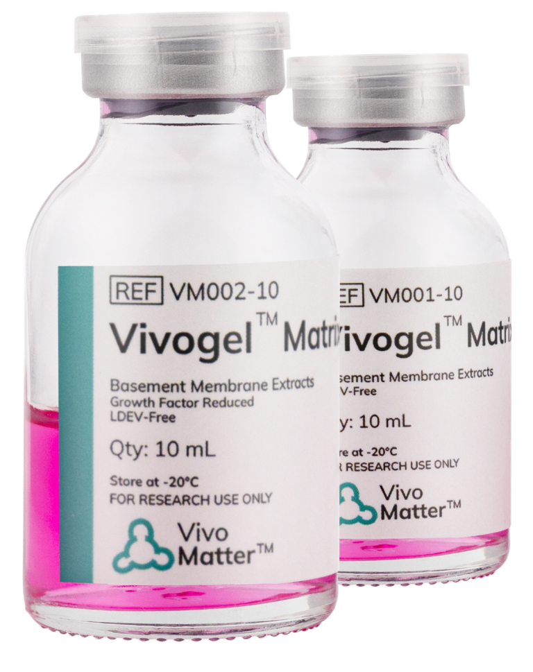 Vivogel™ Matrix – VivoMatter